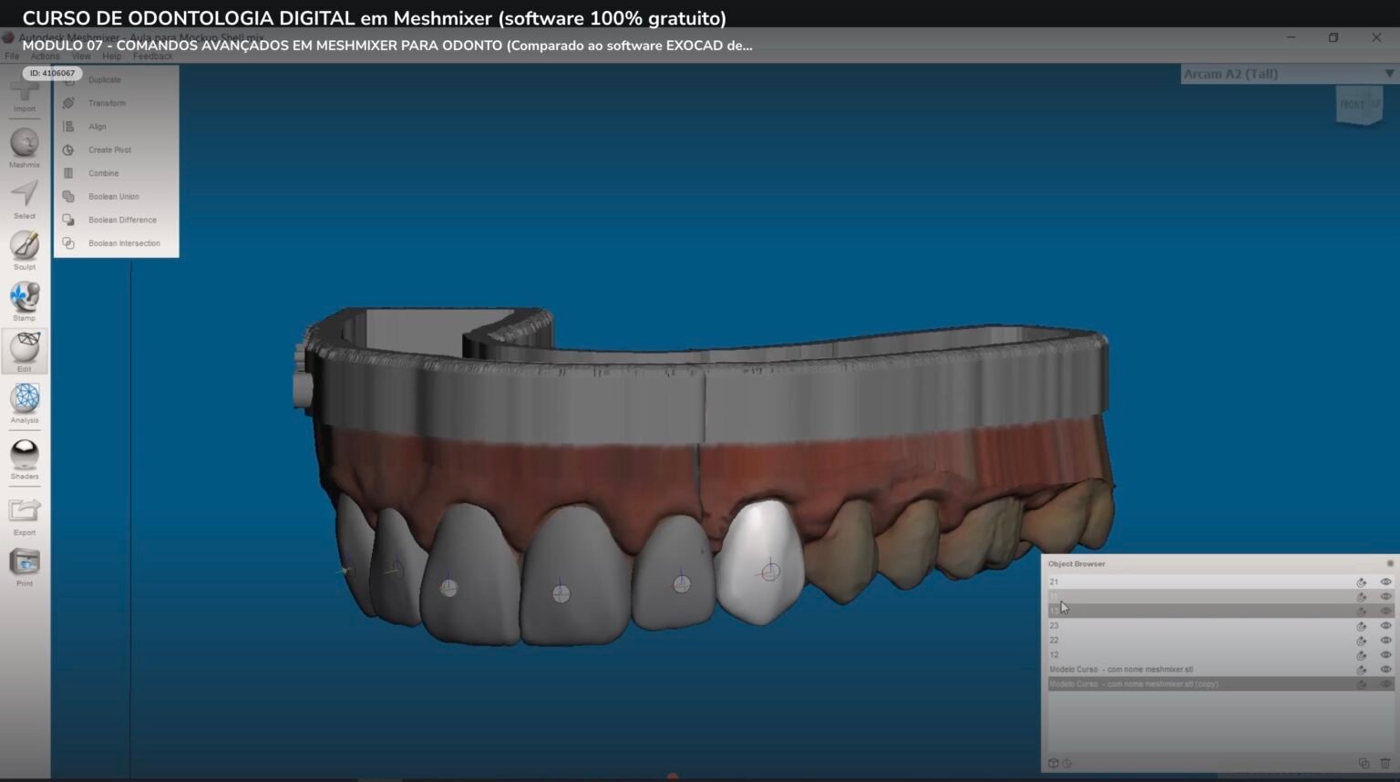 Meshmixer Master Pack®: Transforme sua Prática na Odontologia Digital ...